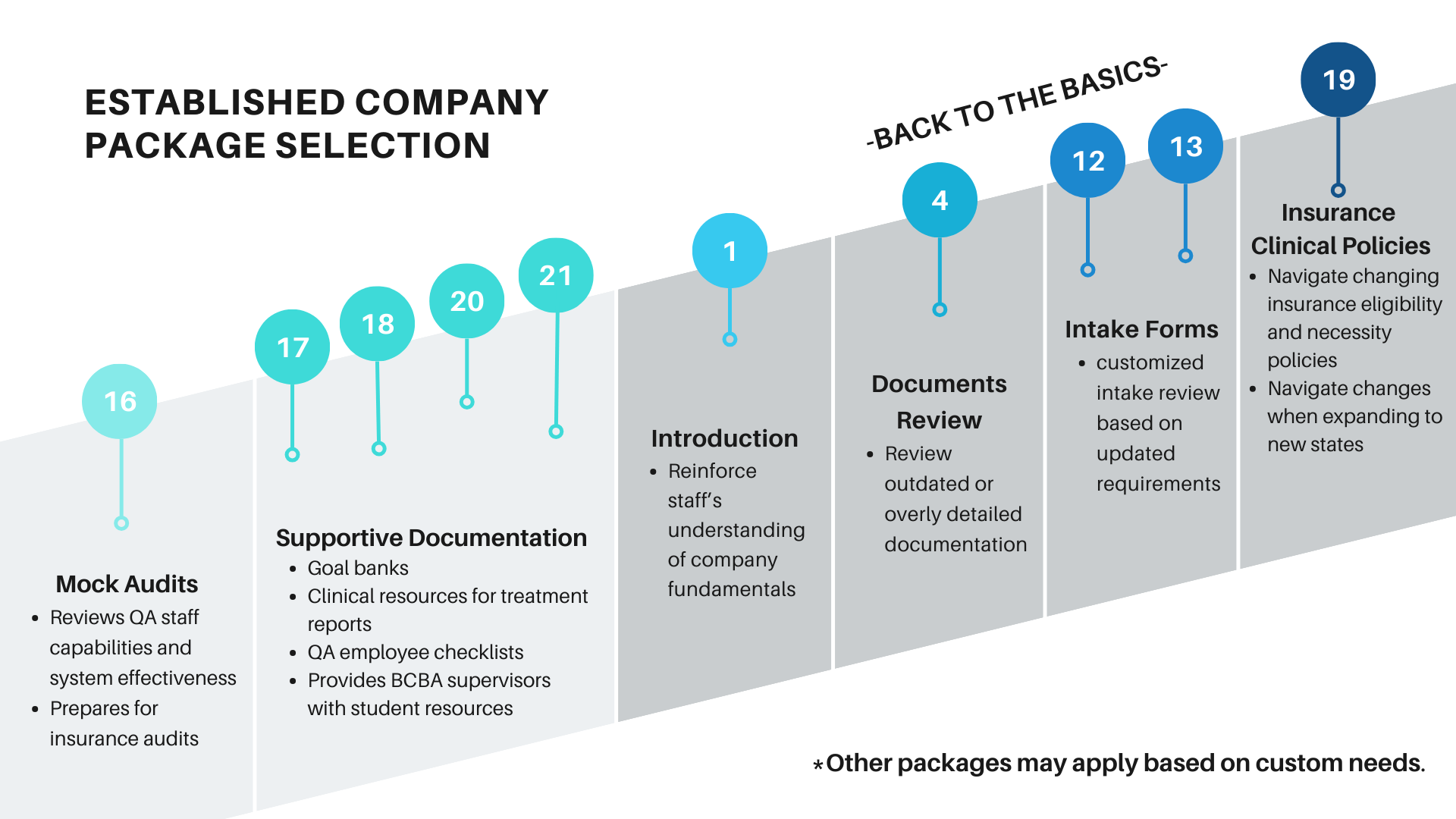 Established Company Packages – Gryd Consulting